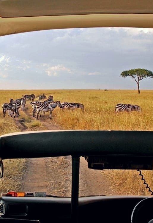 3 day Masai Mara Safari | Book a Maasai Mara 3 days 2 nights Safari in ... 3 day Masai Mara Safari | Book a Maasai Mara 3 days 2 nights Safari in ...
